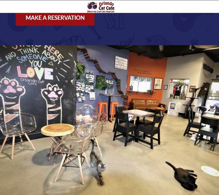 27 Best Small Restaurant Ideas & Concepts